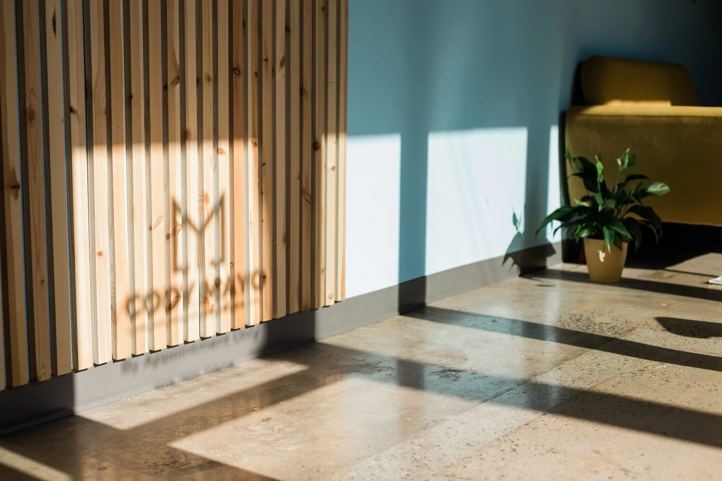 Staff — Cody mayo studios