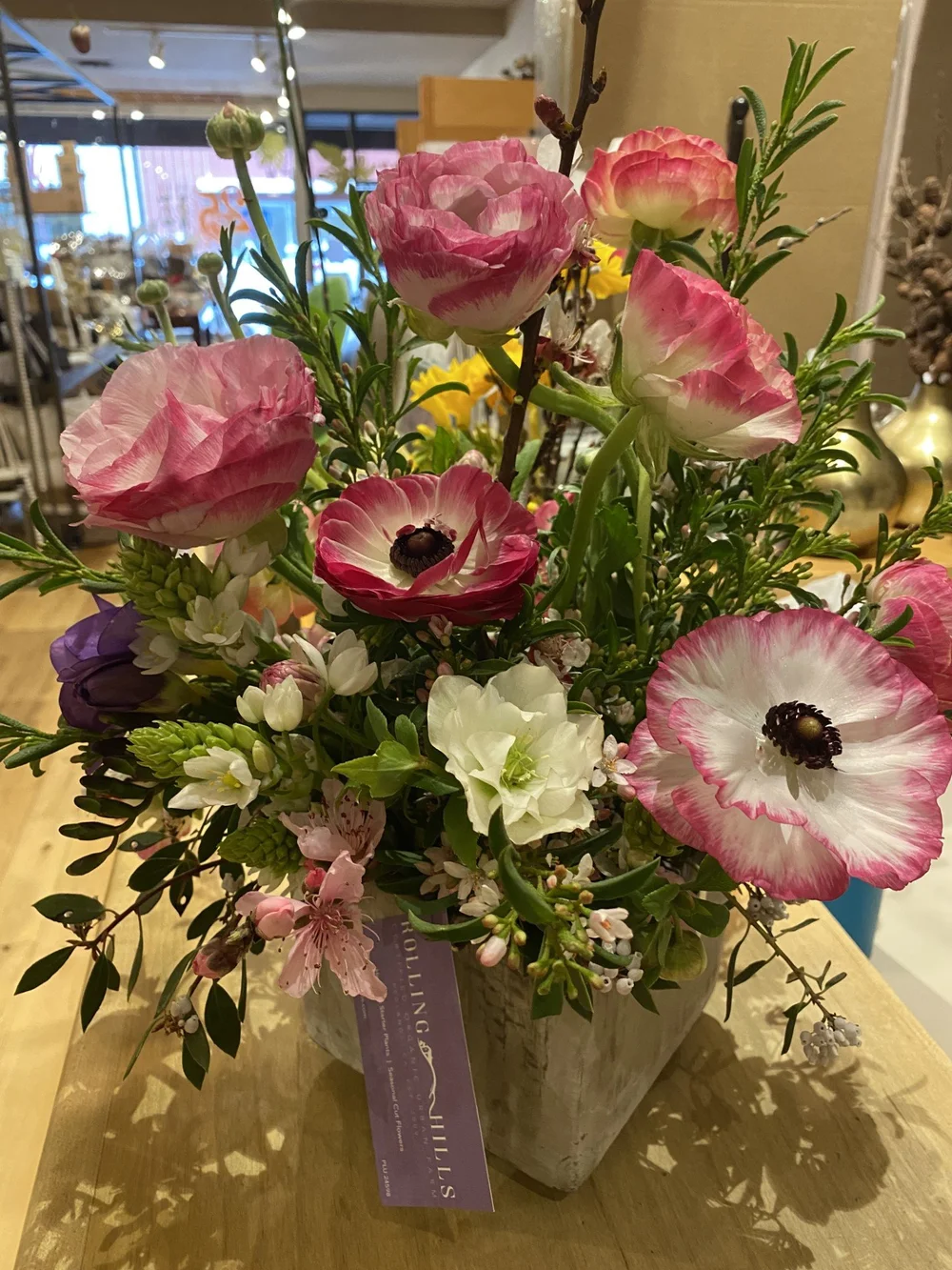 Store 1 — urban nursery stock grower & flower farm