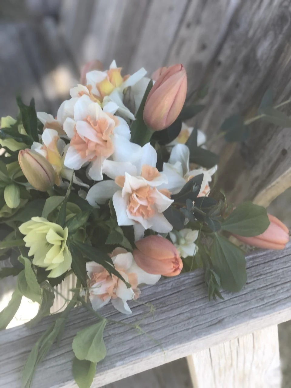 Store 1 — urban nursery stock grower & flower farm