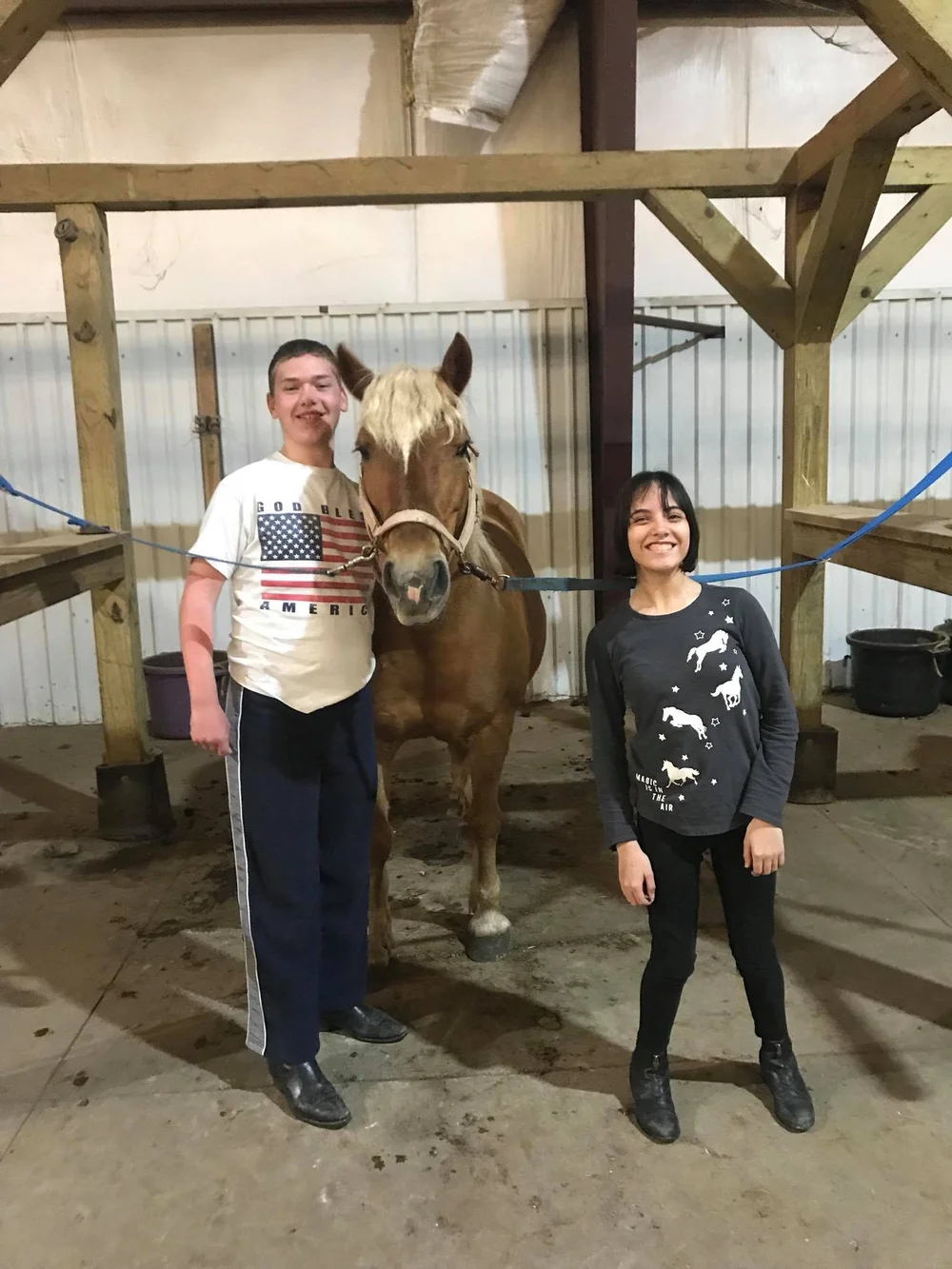 Therapeutic Lessons — Hope Ranch Therapeutic Riding Center