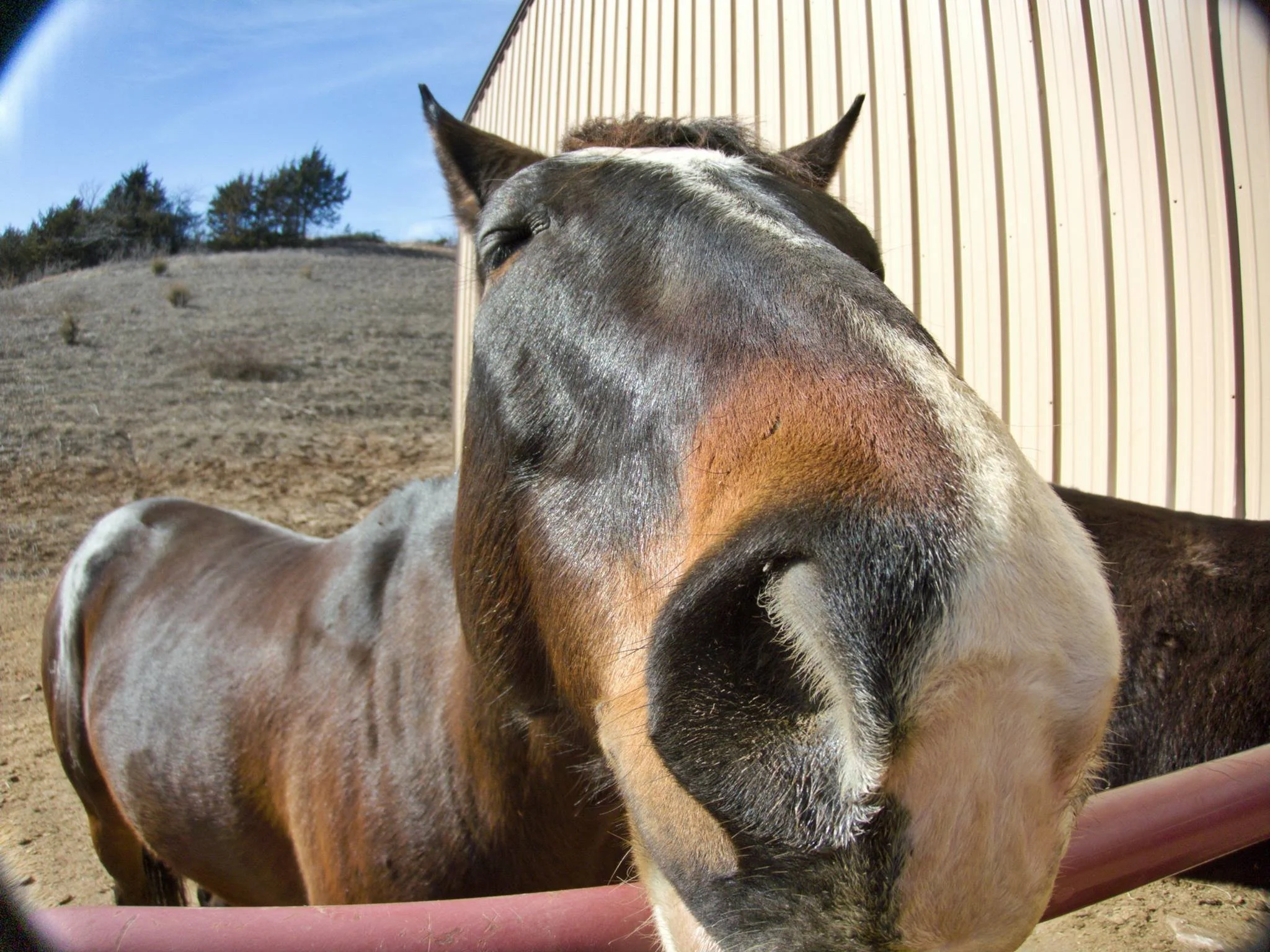 Hope Ranch Therapeutic Riding Center