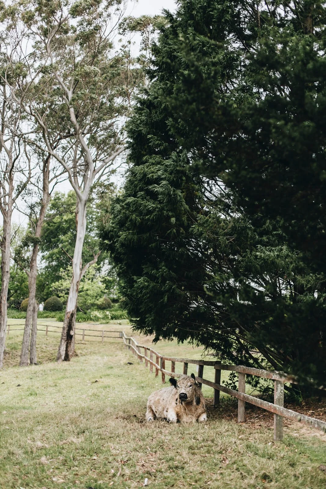 Bundara Farm | 15 acre private estate in Berry on the NSW South Coast