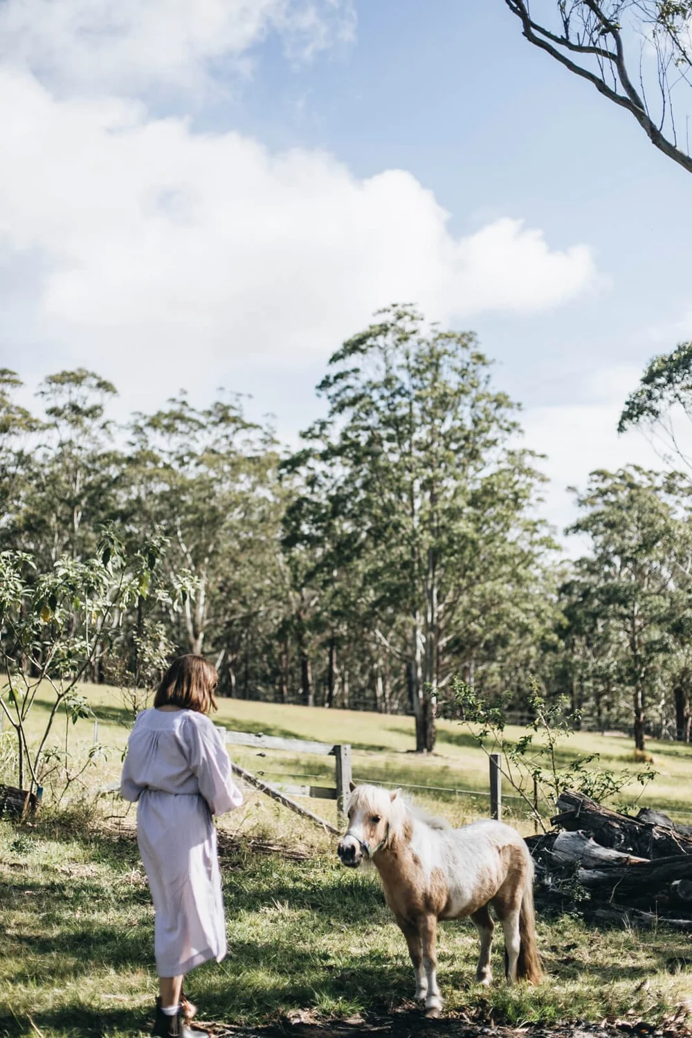 About the Farm — Bundara Farm