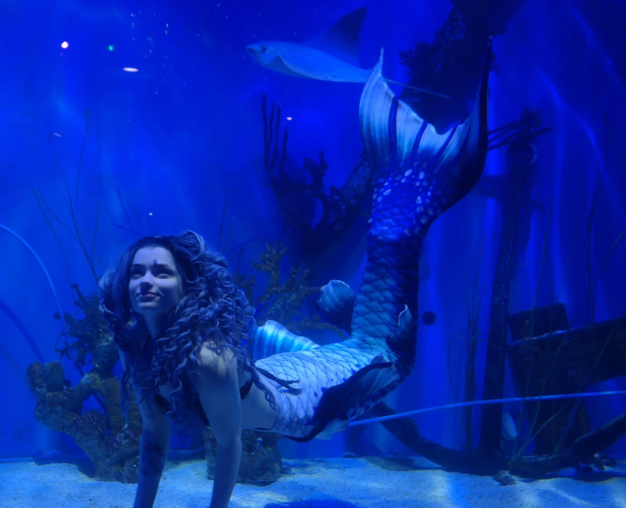 Songbird Siren Productions