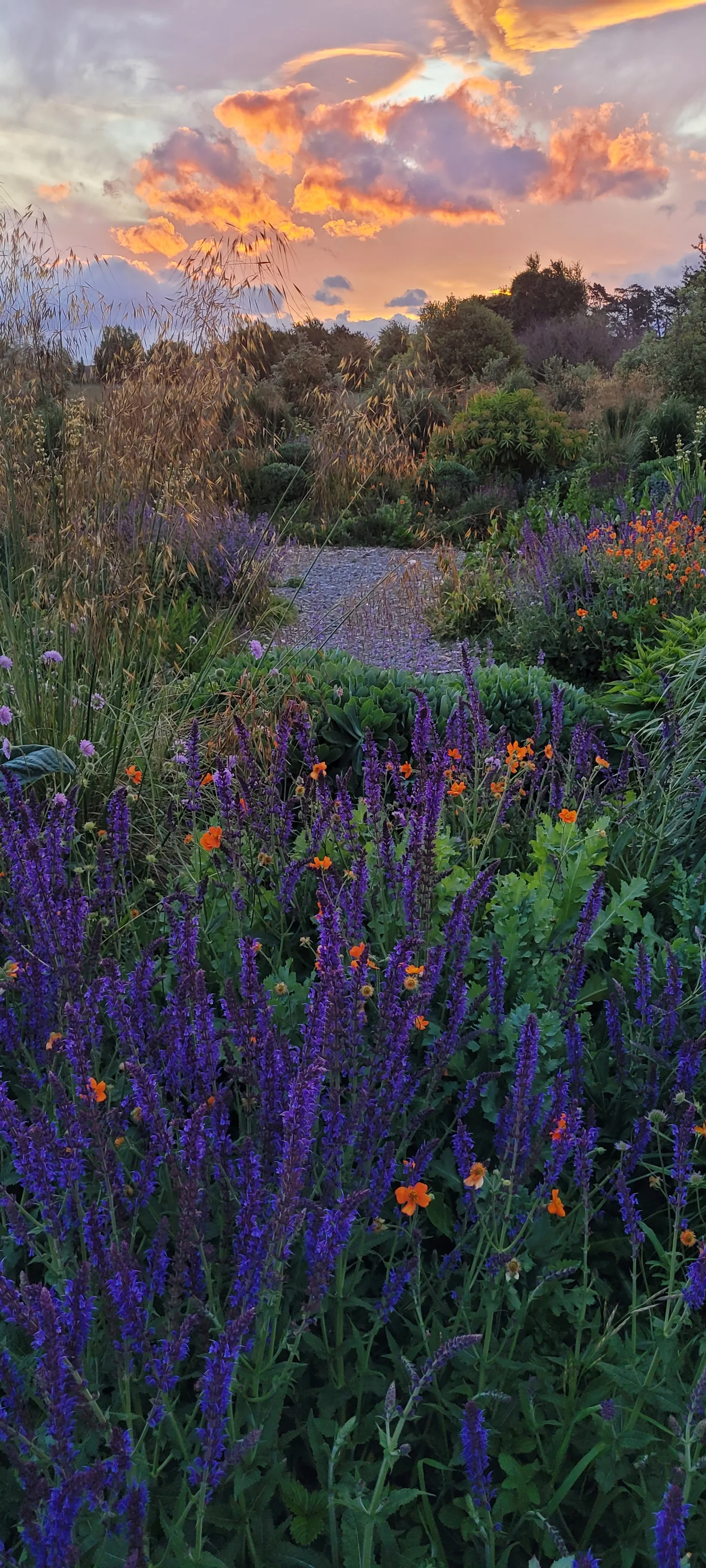 Parkvale Gardens