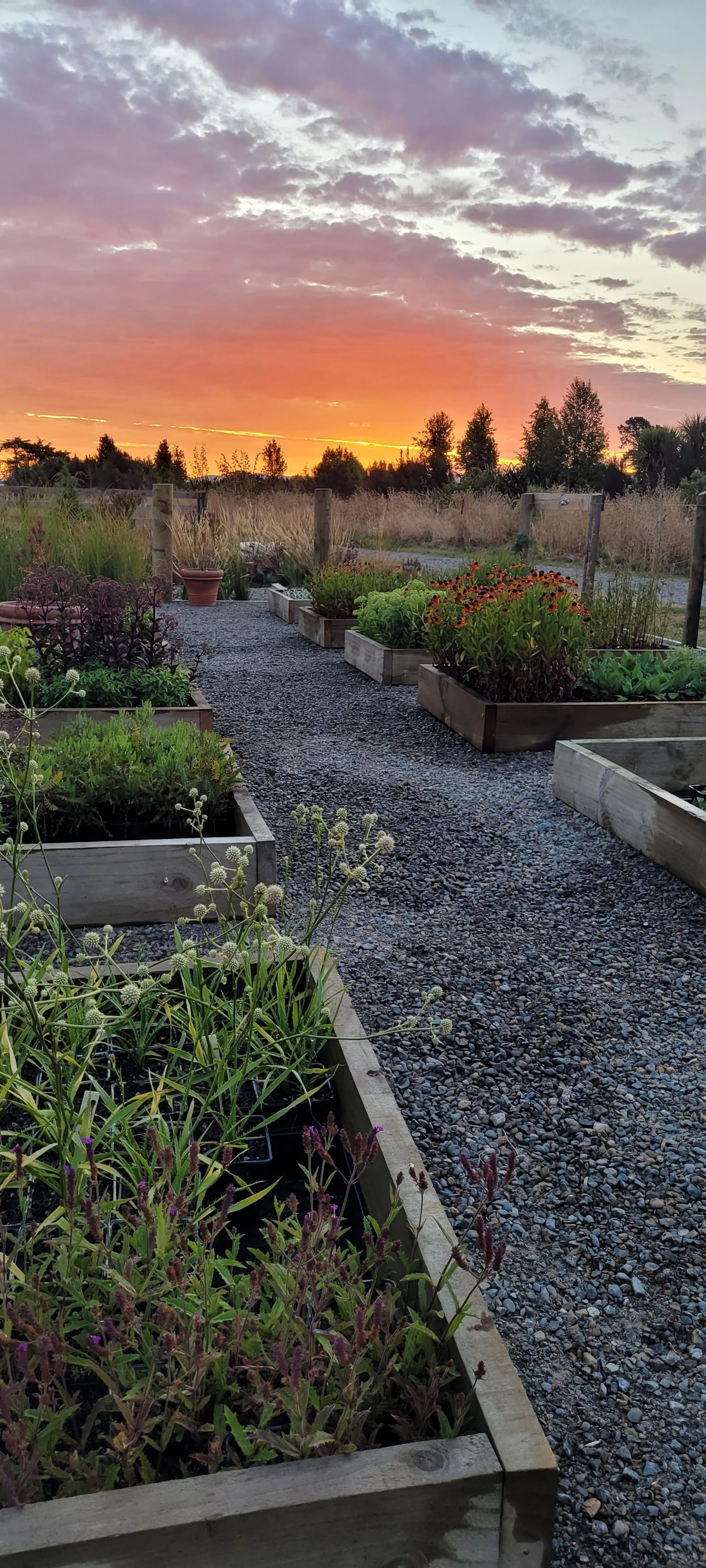 Parkvale Gardens