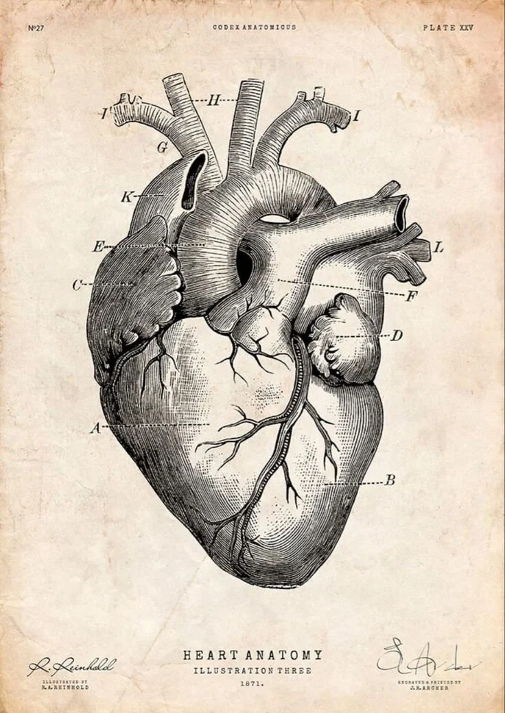 The Secret Language of Your Heart: What Physical Symptoms Really Mean ...