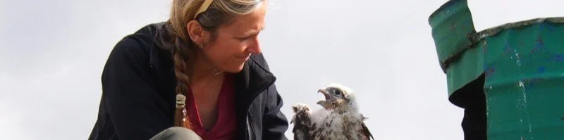 An evening kōrero with Dr Janelle Ward — Karioi Project