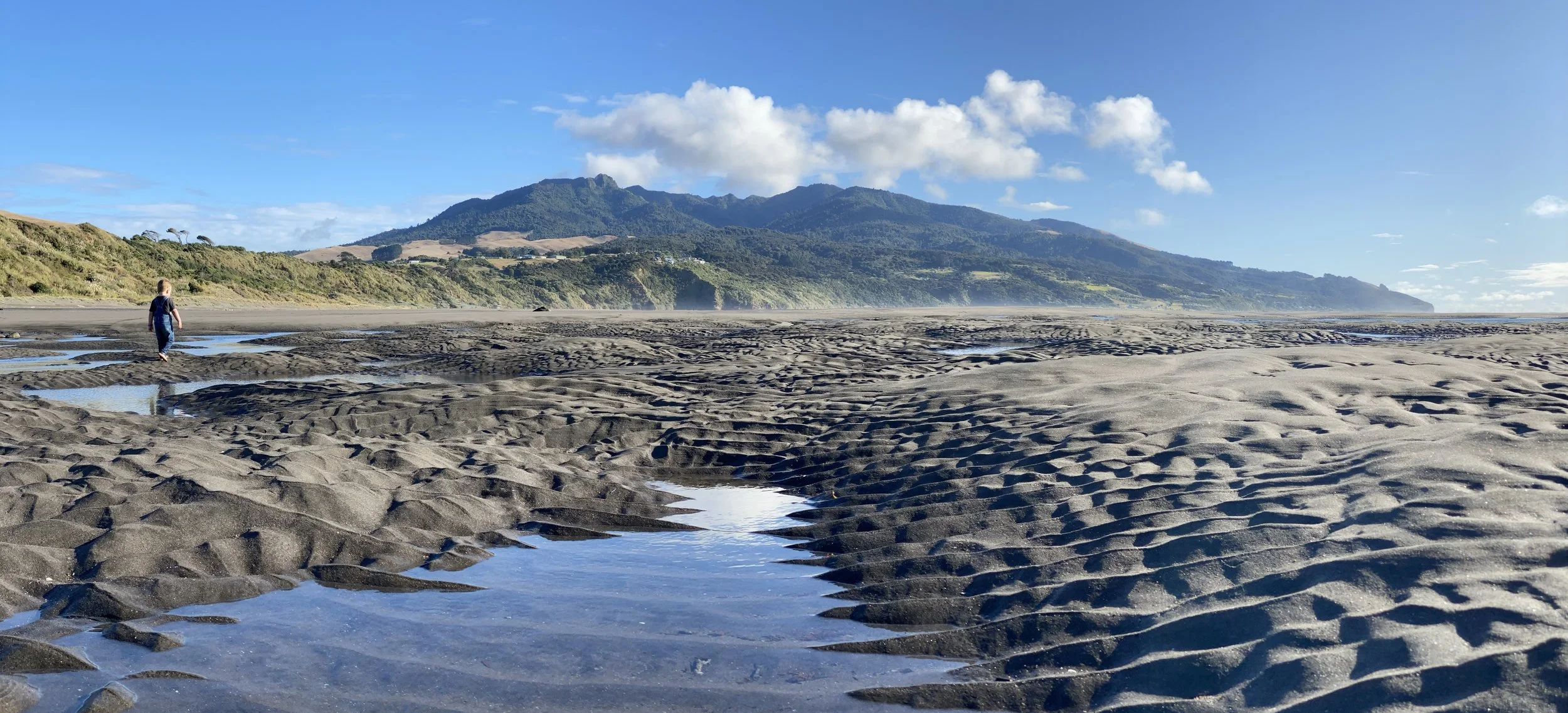 Events — Karioi Project