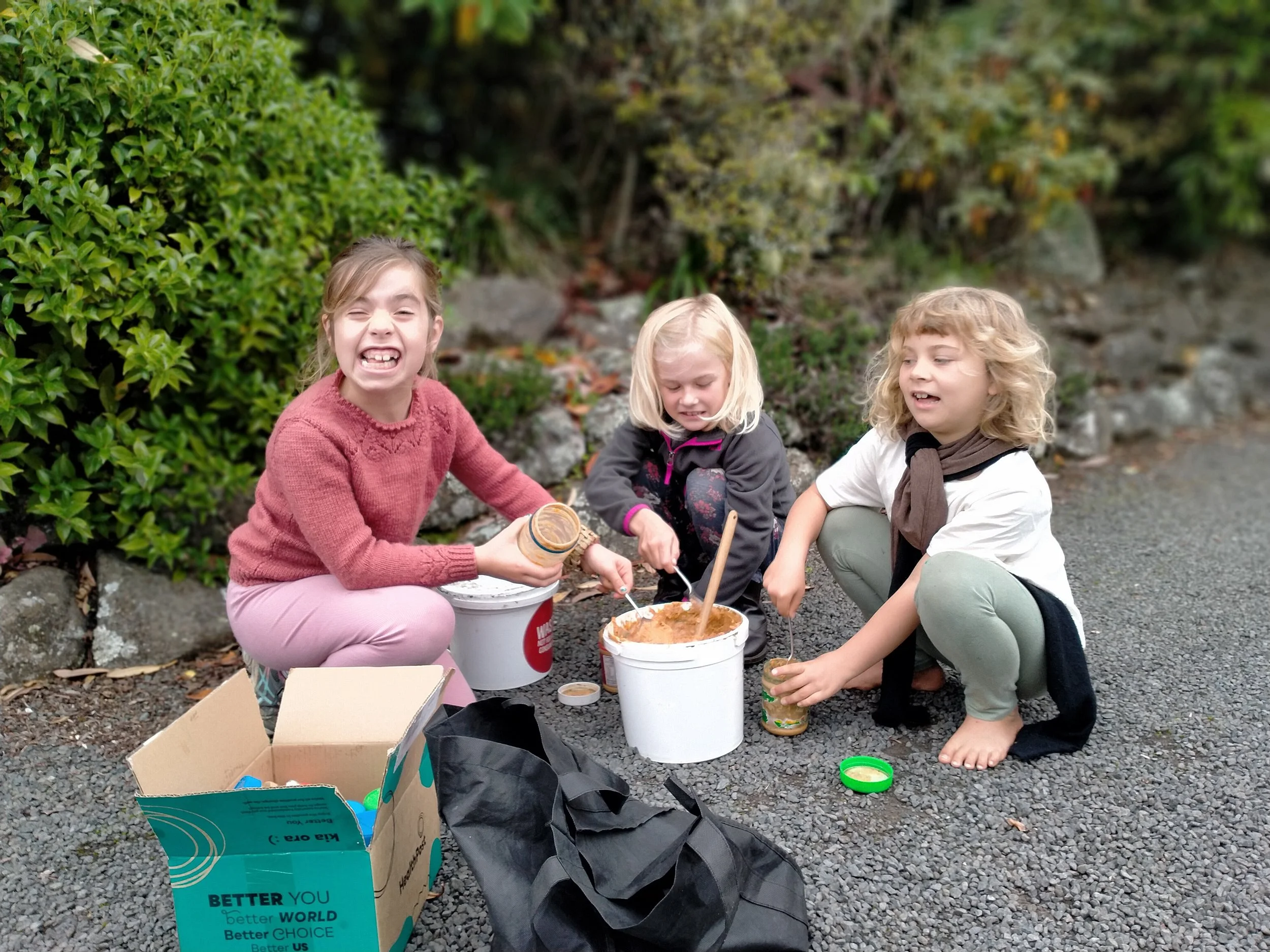 volunteer — Karioi Project