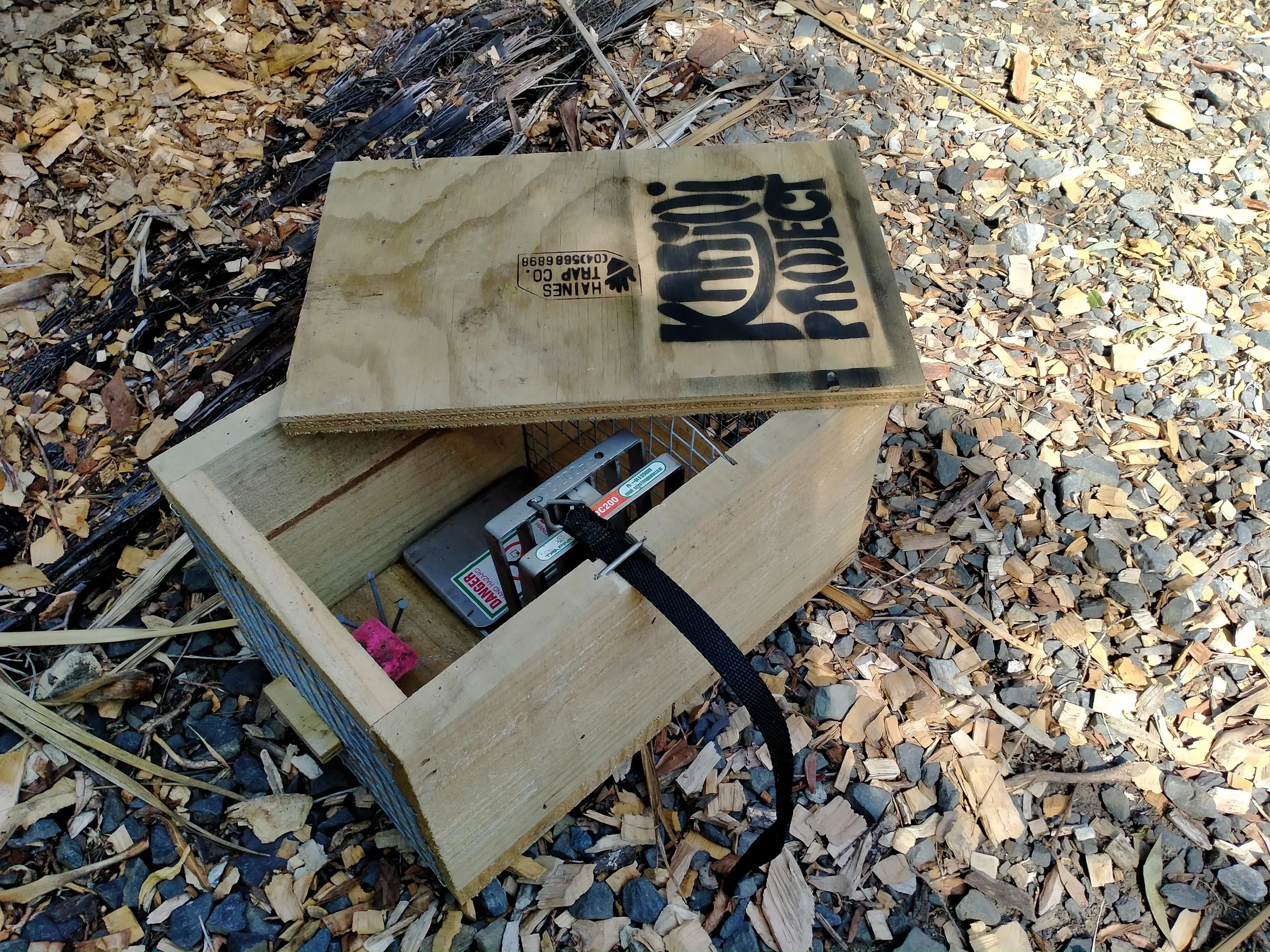 DOC200 Stoat and Rat Trap — Karioi Project