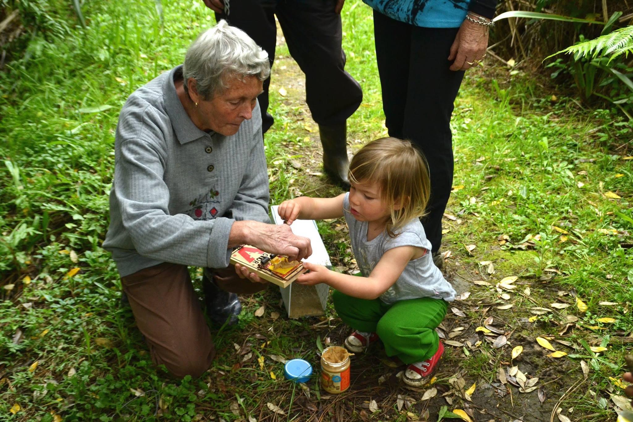 Shop — Karioi Project