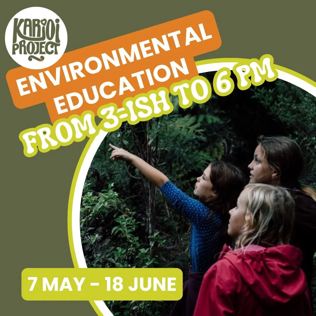 Karioi Rangers for 9 to 12 year-olds — Karioi Project