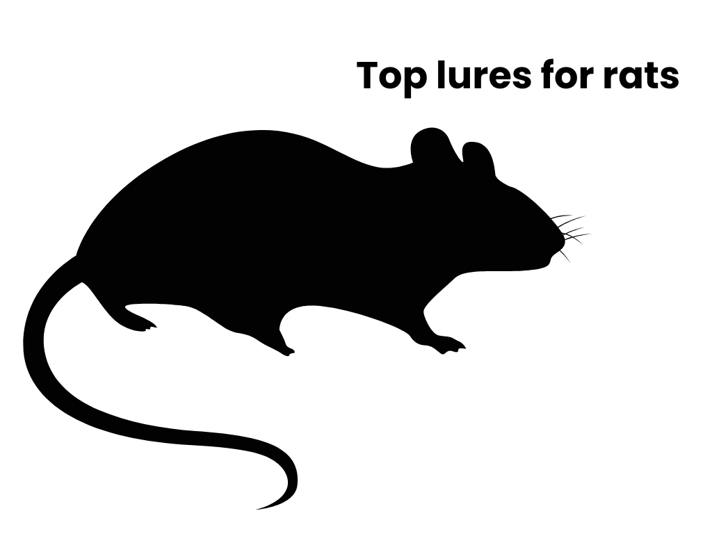 D-Rat — Karioi Project