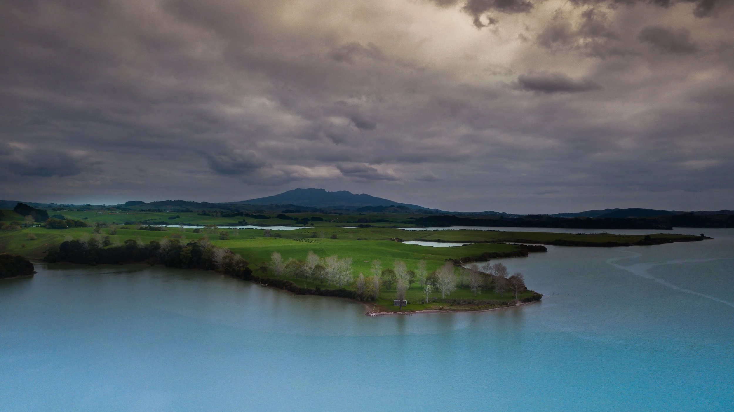 Shop — Karioi Project