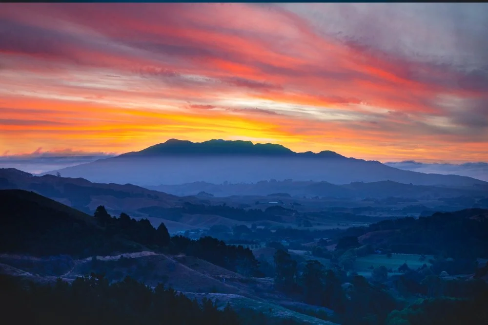 Contact — Karioi Project