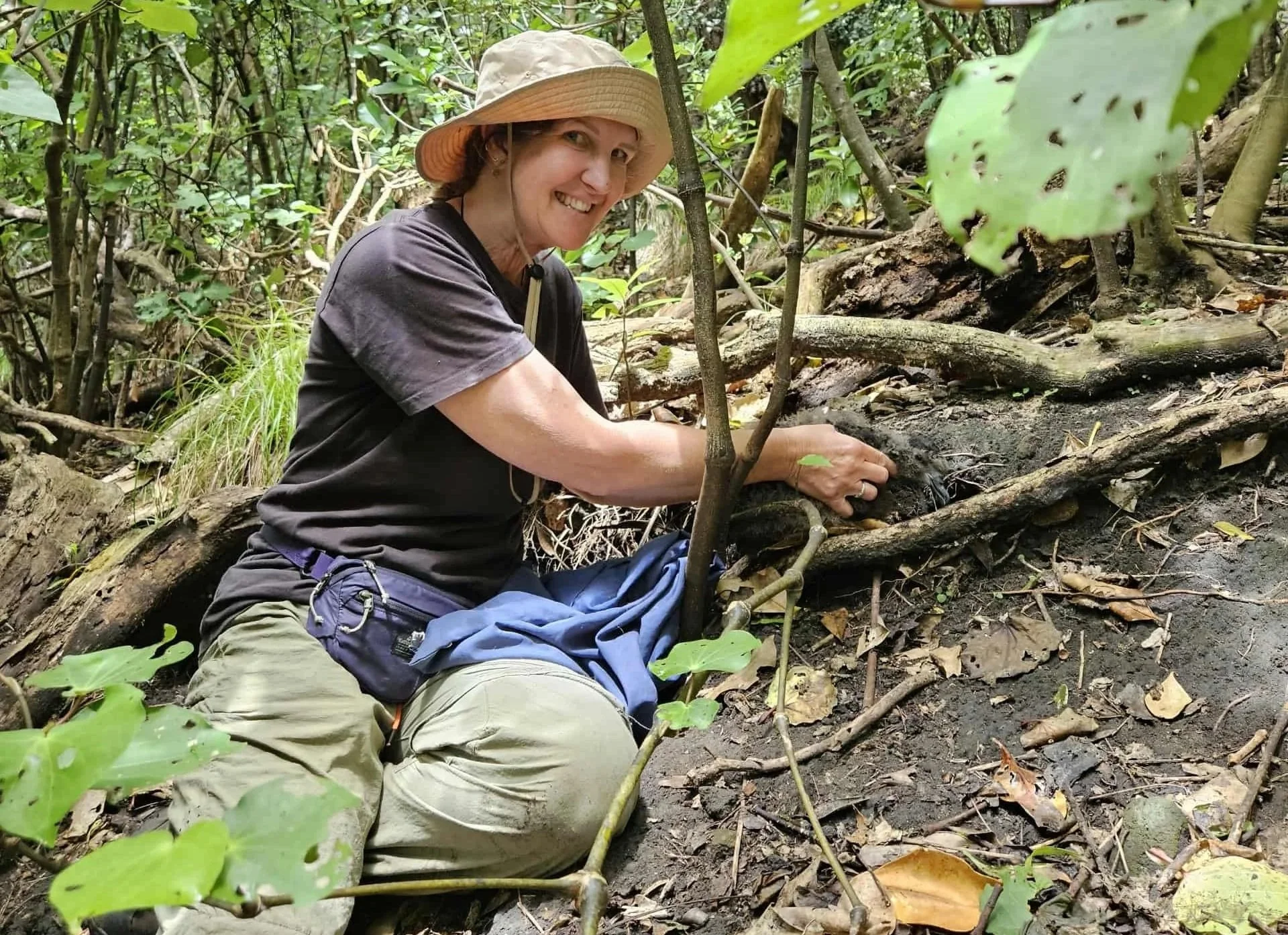 A memoir with Graeme Taylor — Karioi Project