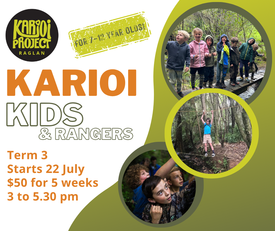 Karioi Kids & Rangers for 7-12 year-olds — Karioi Project