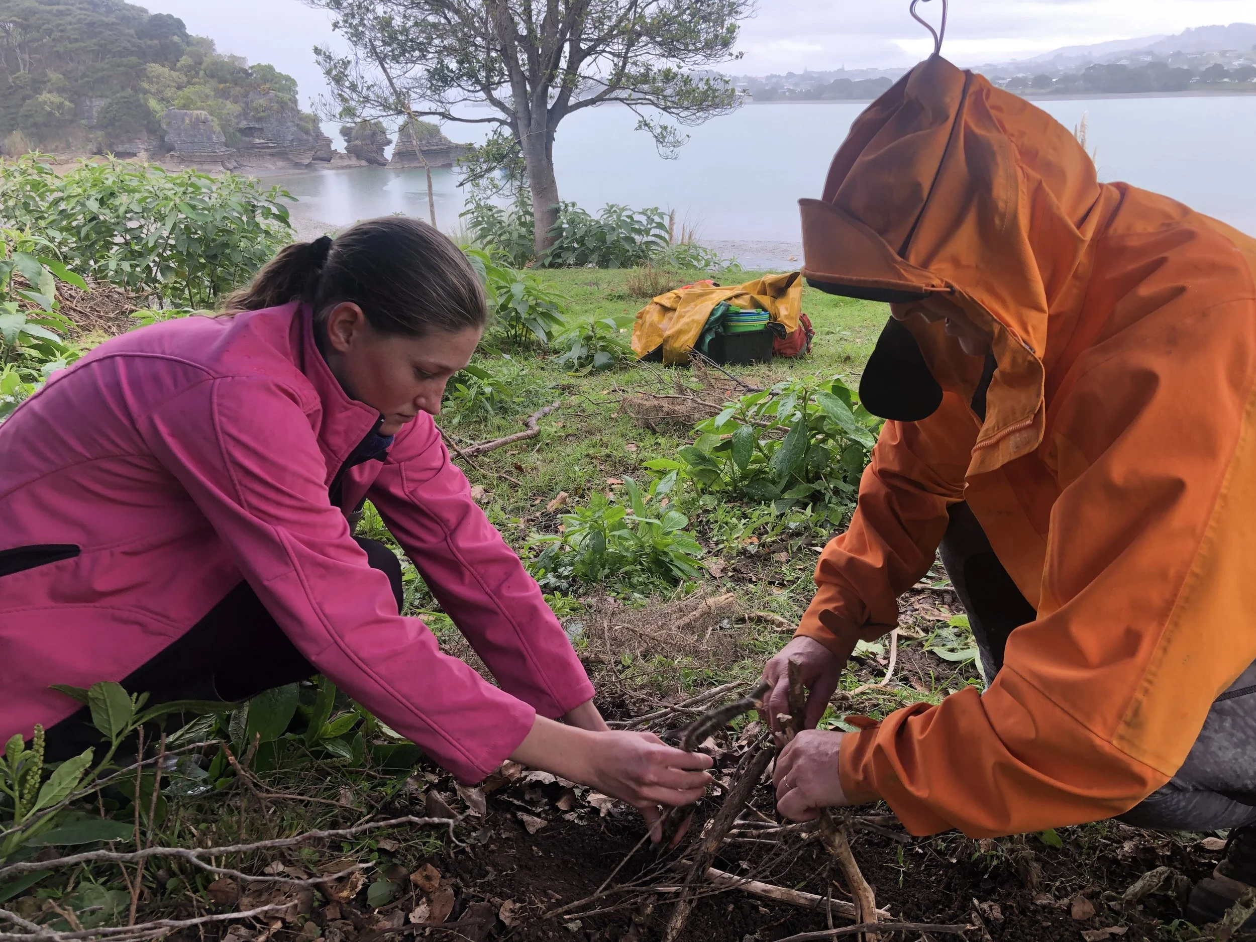 education — Karioi Project