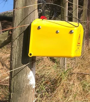 Flipping Timmy — Karioi Project