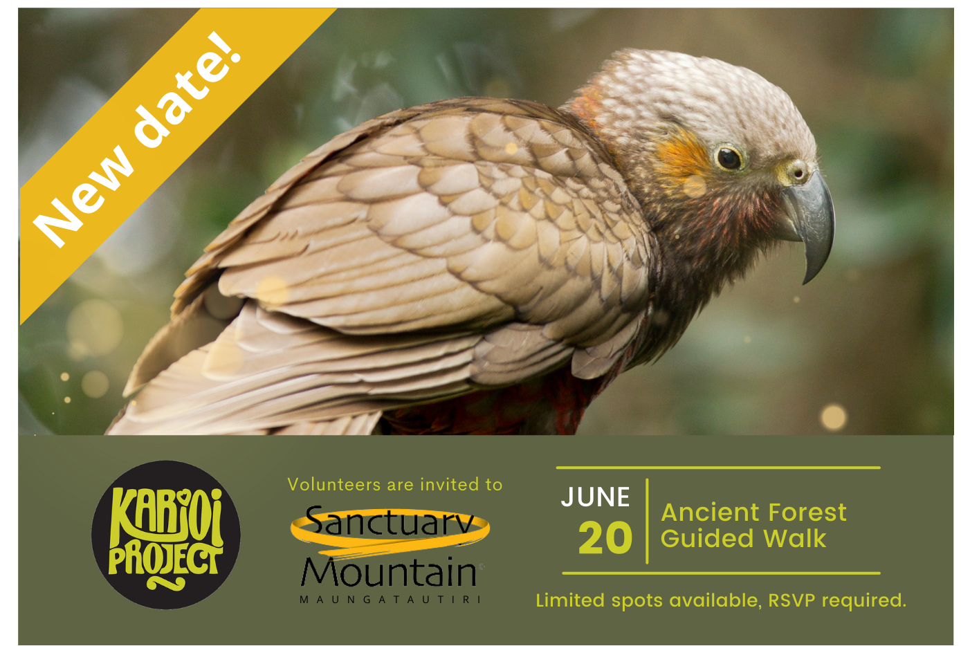 New Maungatautiri Date! — Karioi Project