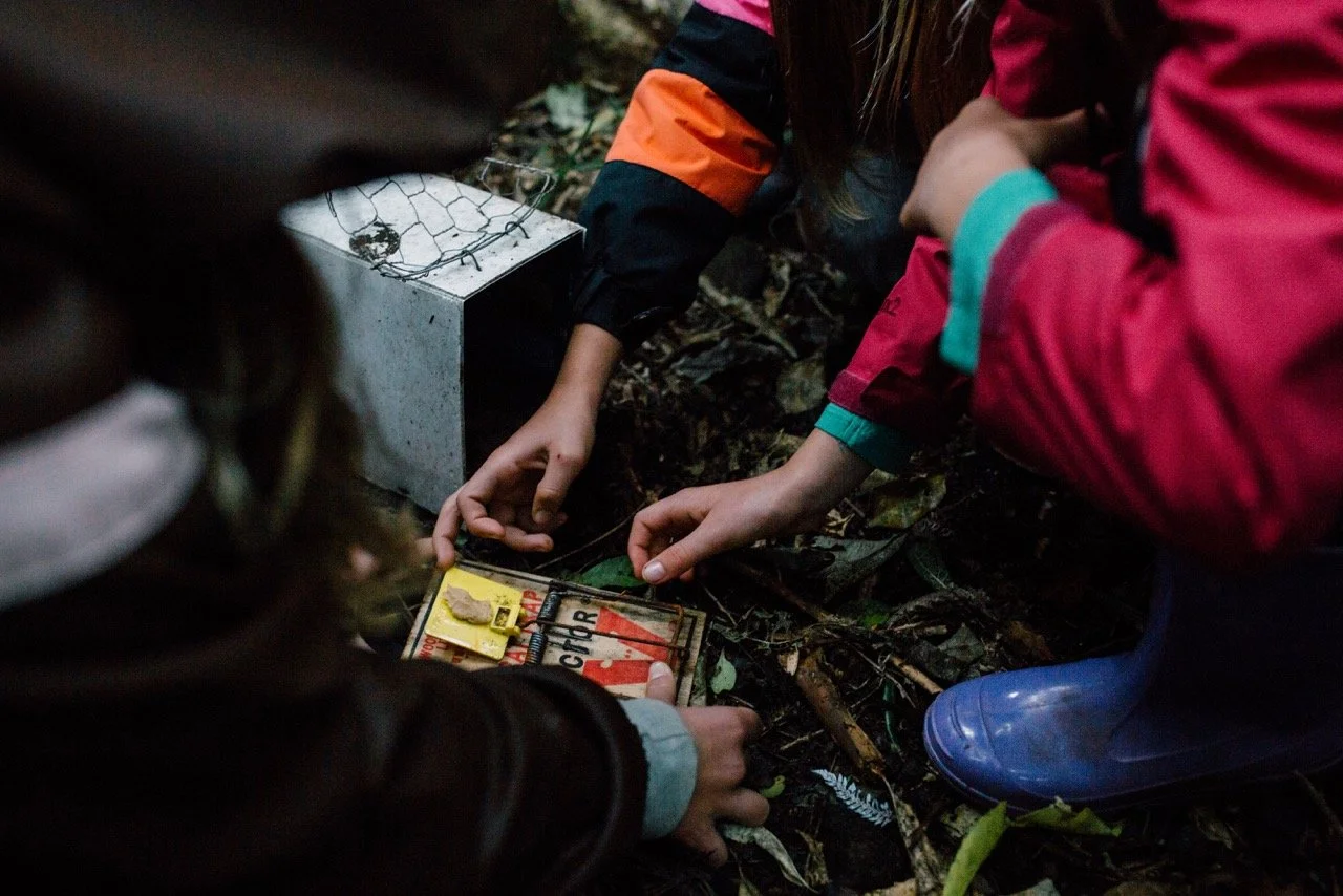 education — Karioi Project