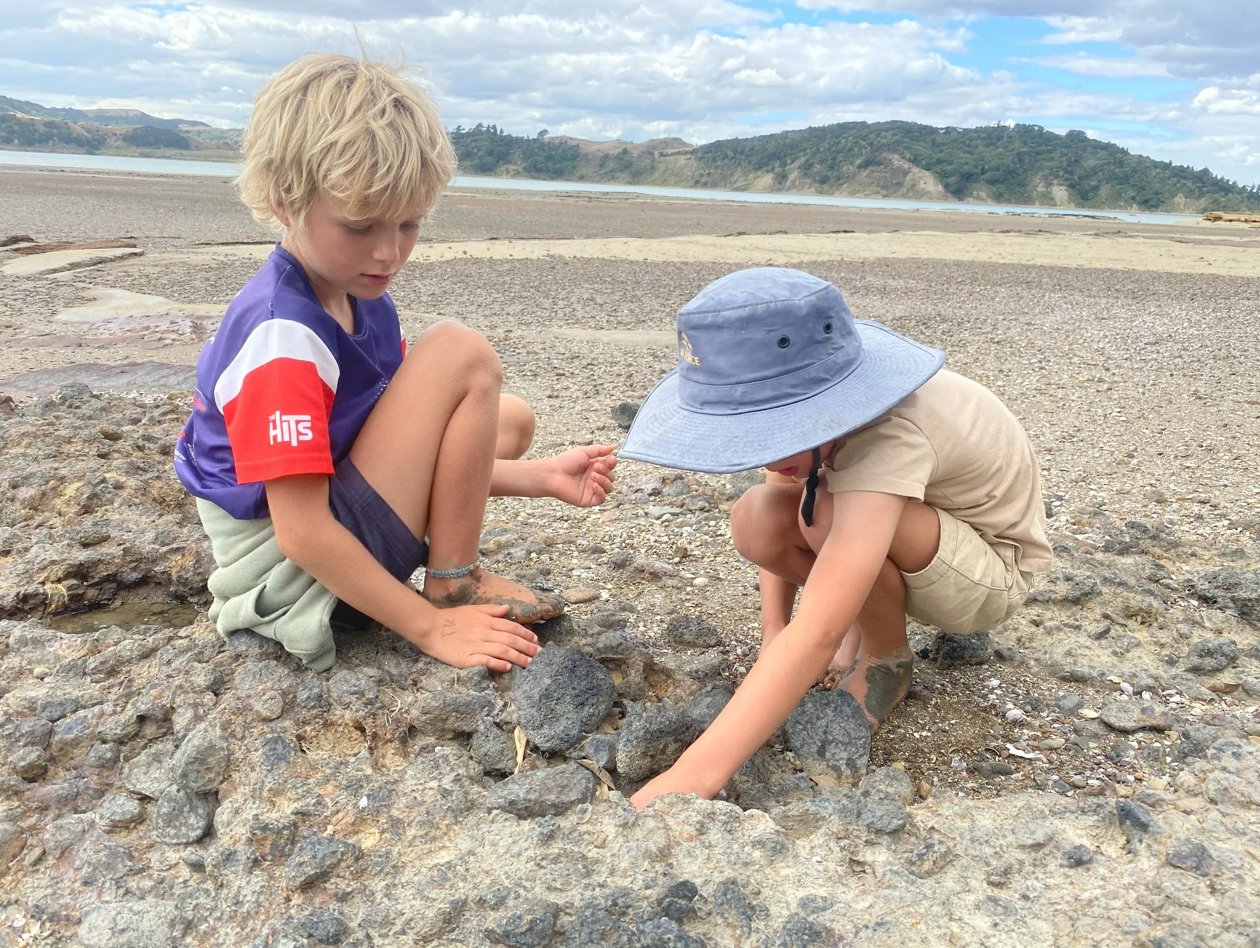 education — Karioi Project