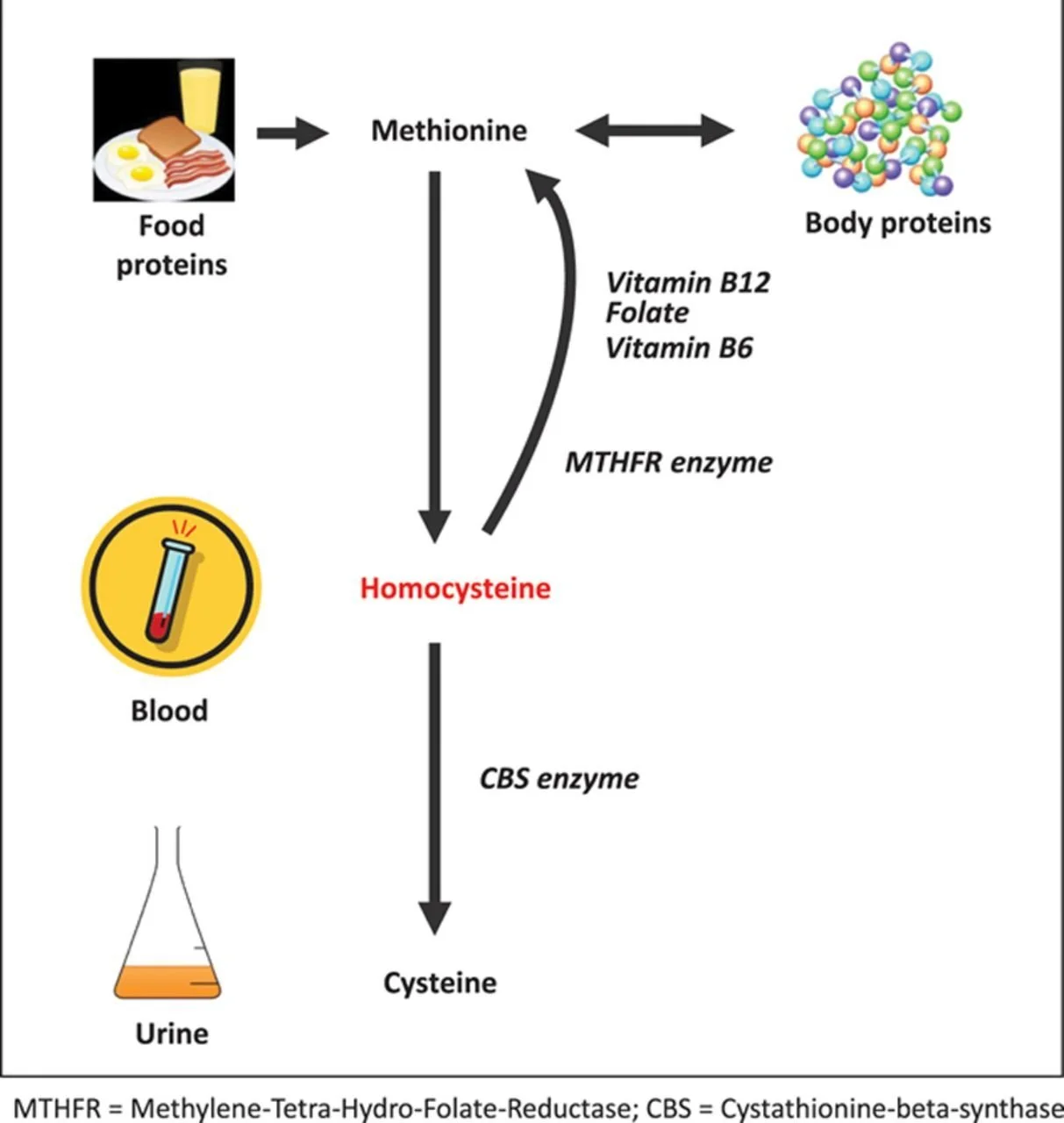 Newsletter #29: 💊 Supplements 101: Choosing and dosing vitamins ...