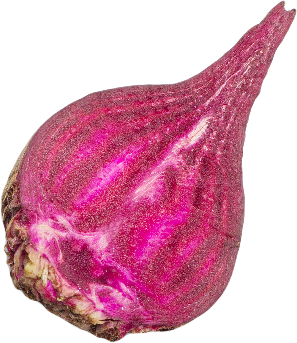 Kitchen — Casey Means MD