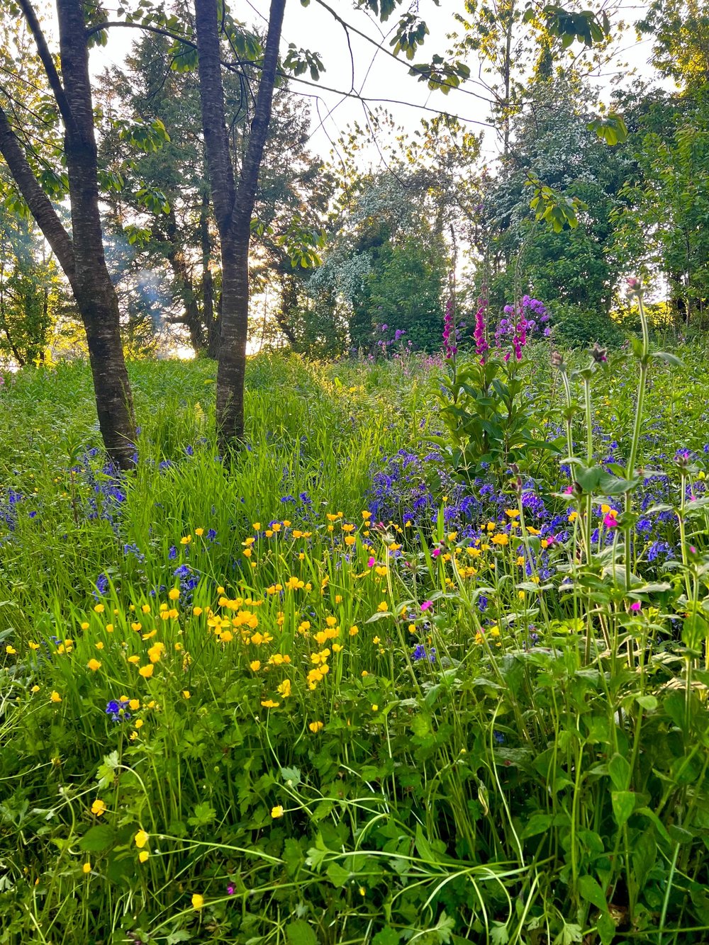 Andrew Duff Garden Design