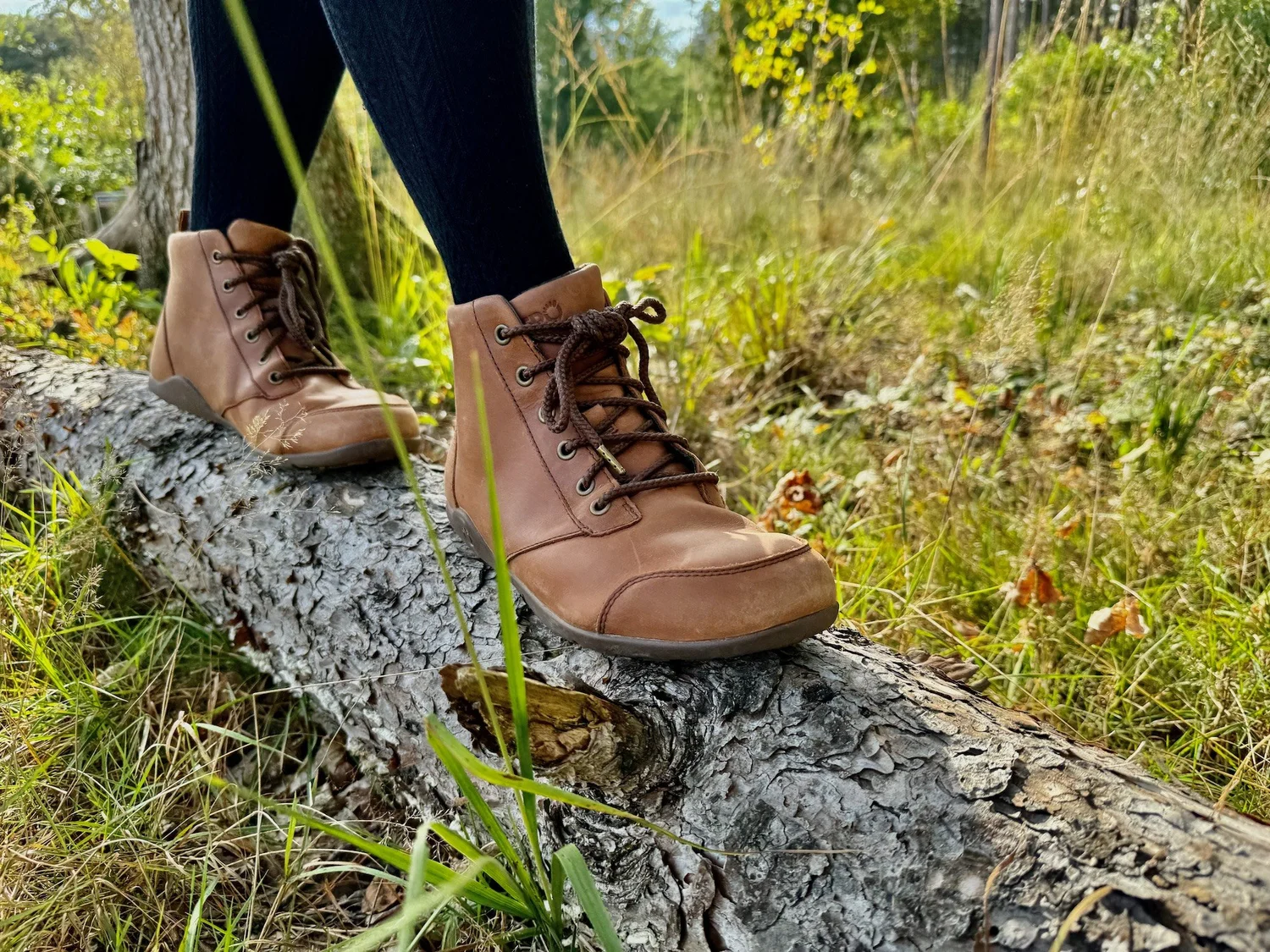 Start — Barefoot lopen: blog over barefoot schoenen