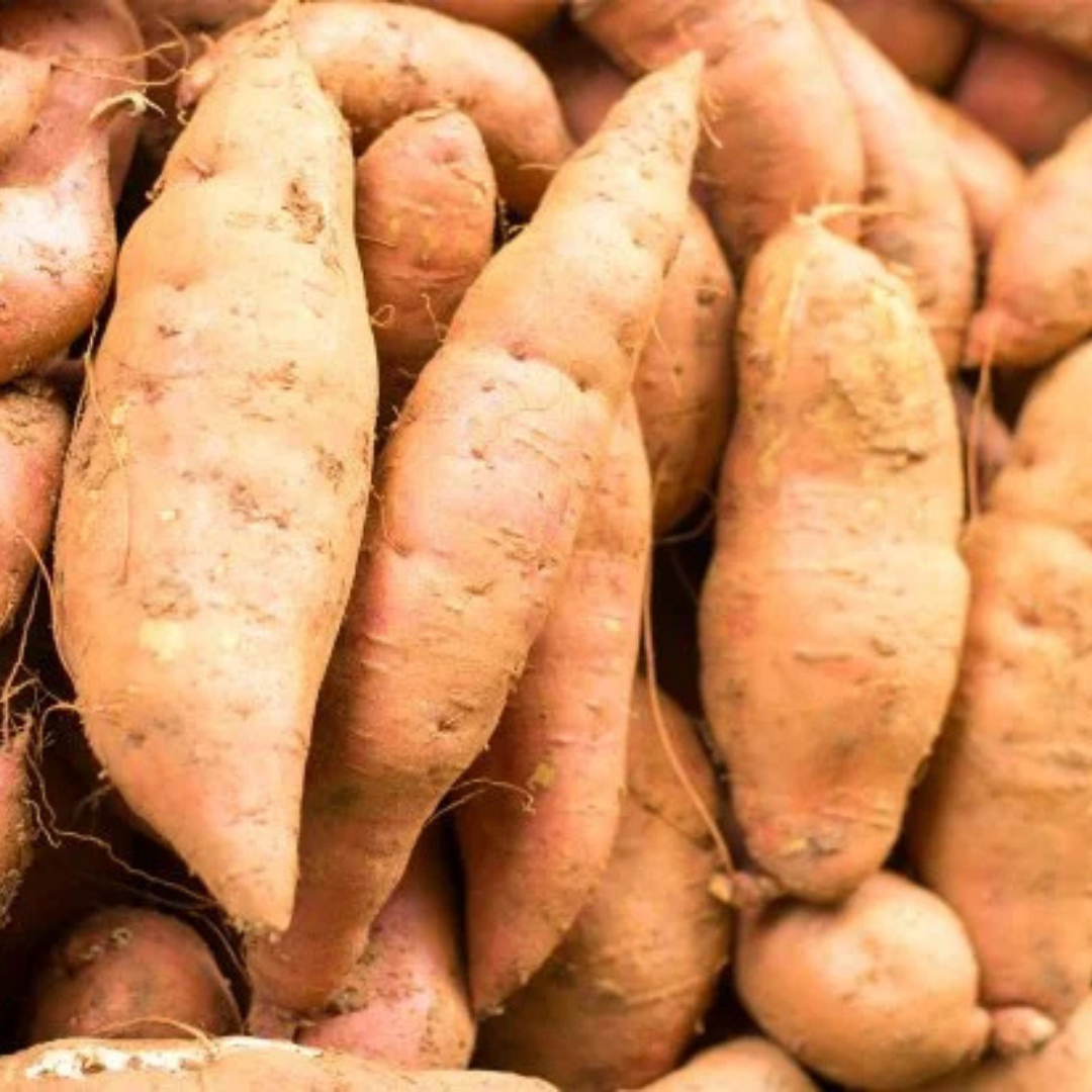 Quick Guide to Storing Sweet Potatoes — Vermont Harvest of the Month