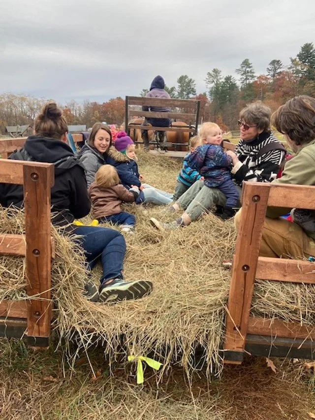 The Carrot at the End of the Stick: What drives Wild Carrot Farm ...