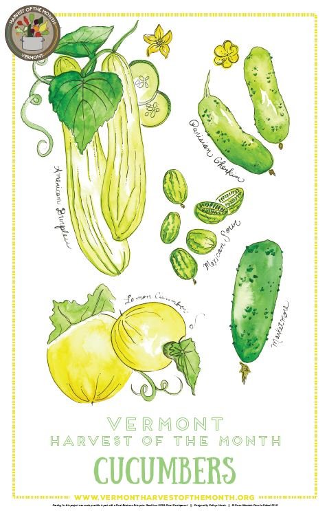 July 2024 | Explore Vermont's Fresh Produce — Vermont Harvest of the Month