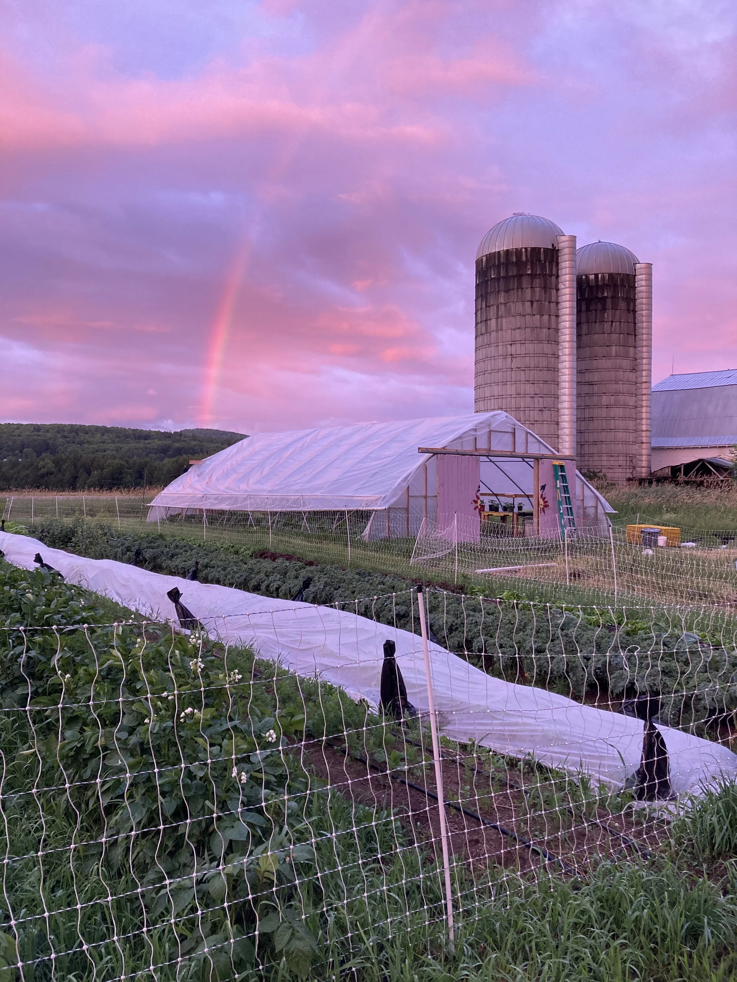 Boneyard Farm