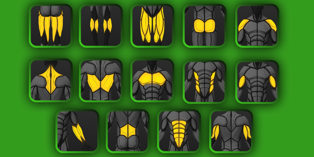 14 Key Muscle Groups You’ll Work In Strength Workouts | Litesport