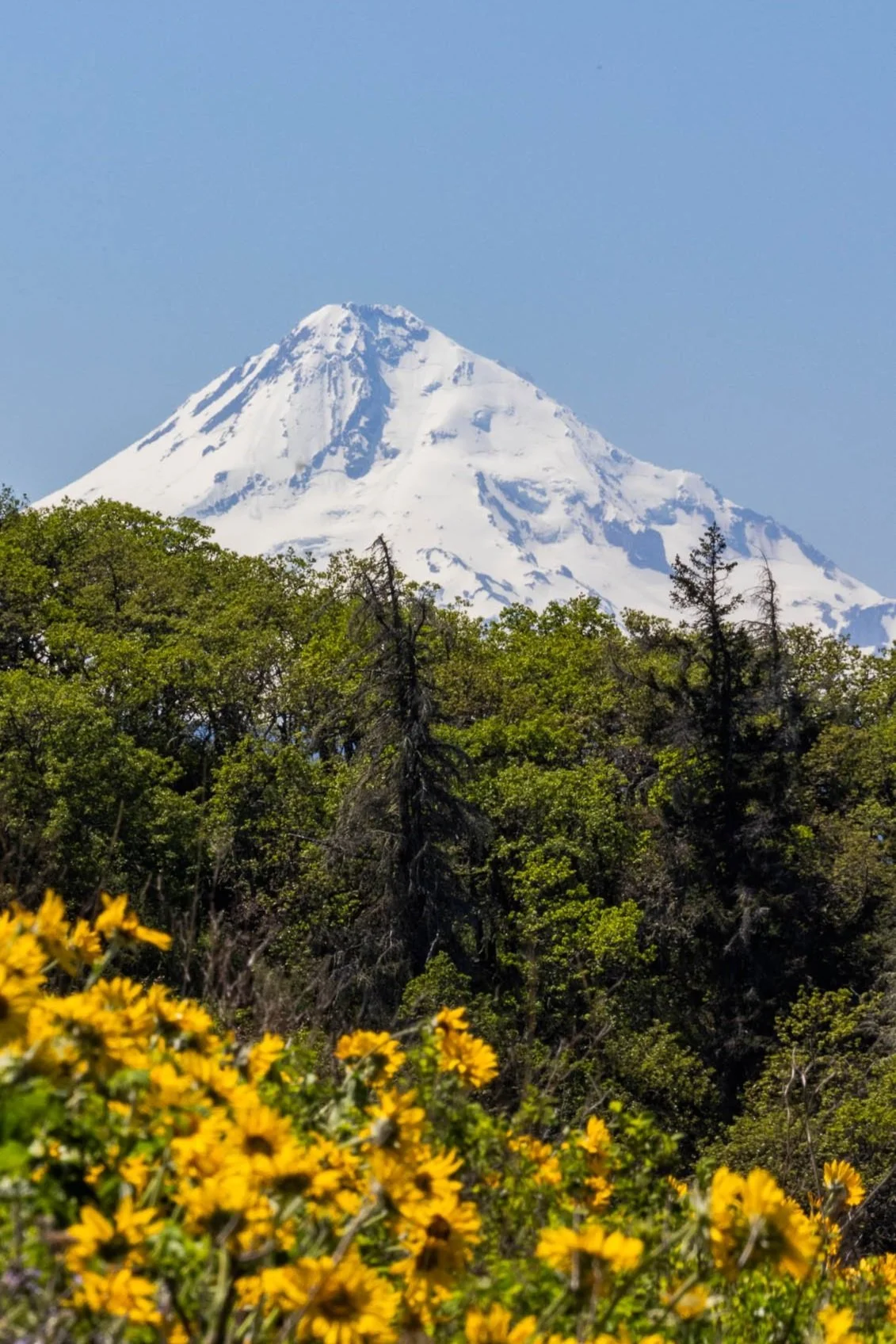 Staff - Jackie Solomon — Wy'East RC&D