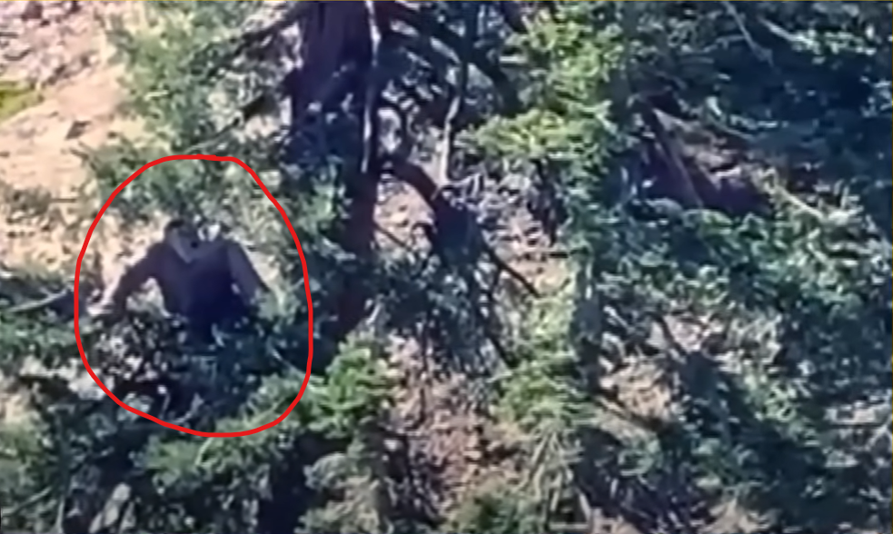 The Origin of Sasquatch: Top 4 Theories Behind Bigfoot’s Existence ...