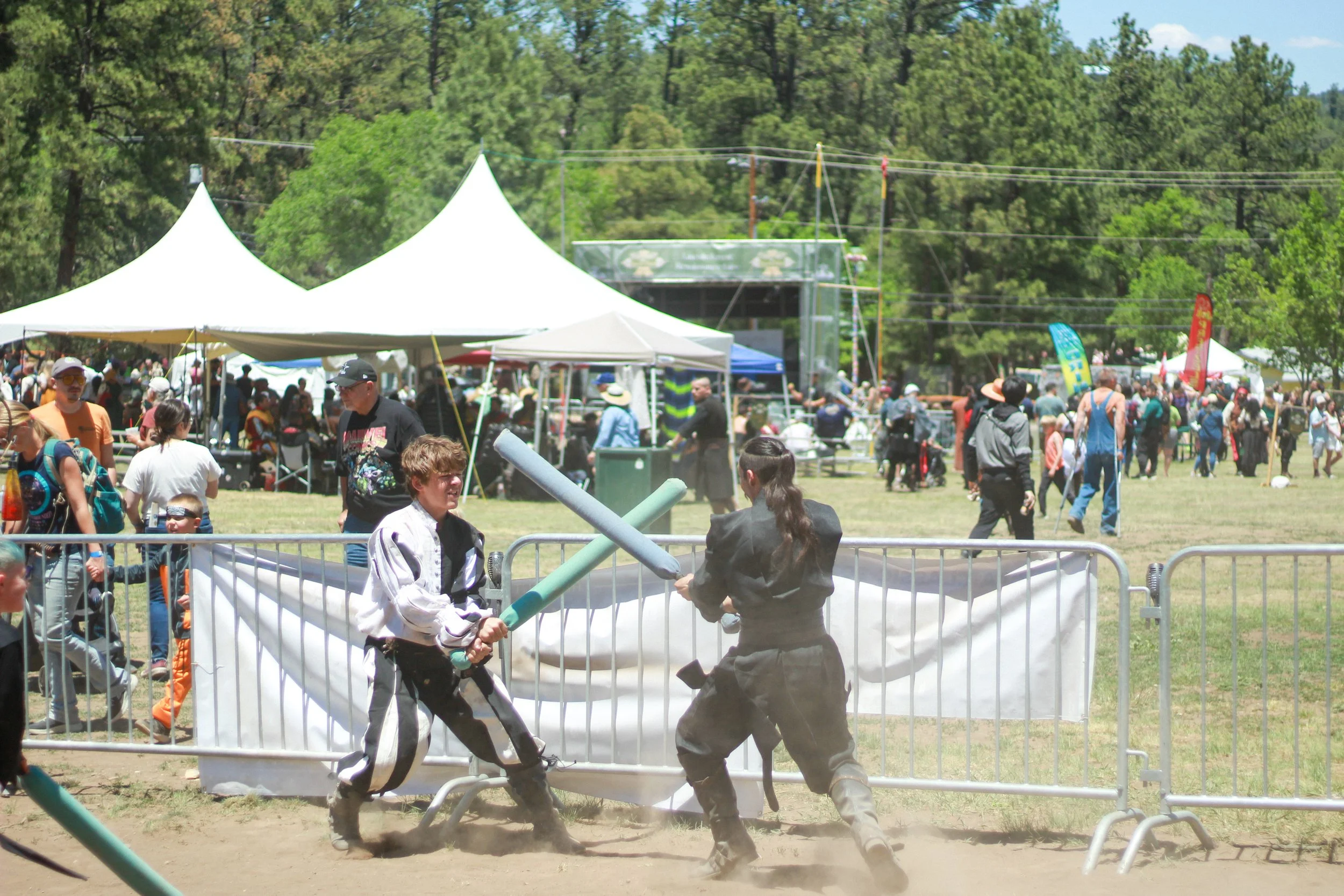 Lincoln Forest Renaissance Faire