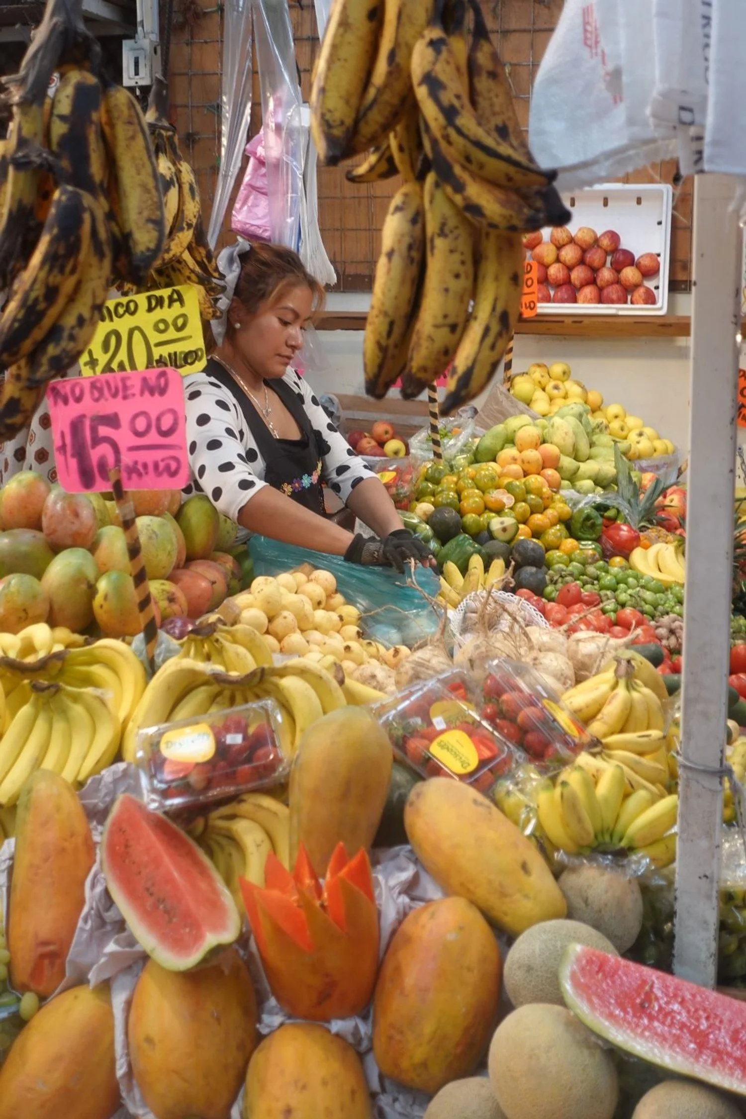 Cost of travel through Mexico: A detailed breakdown — The Bishops