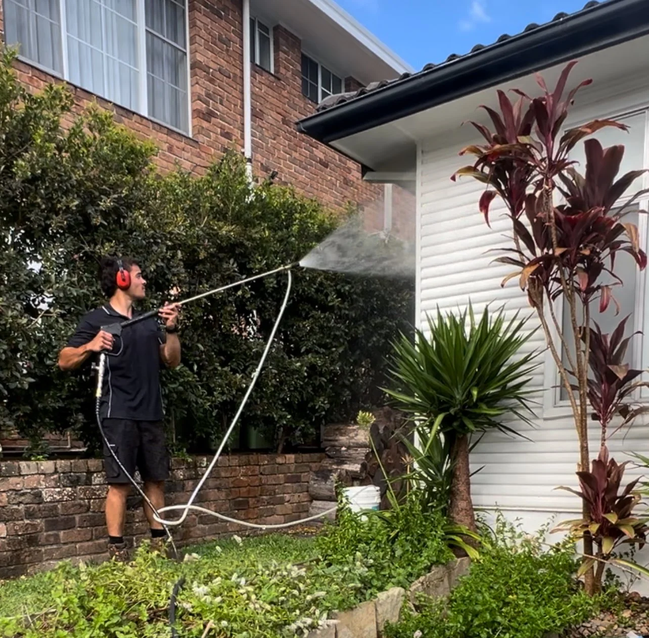 Shark Pressure Washing