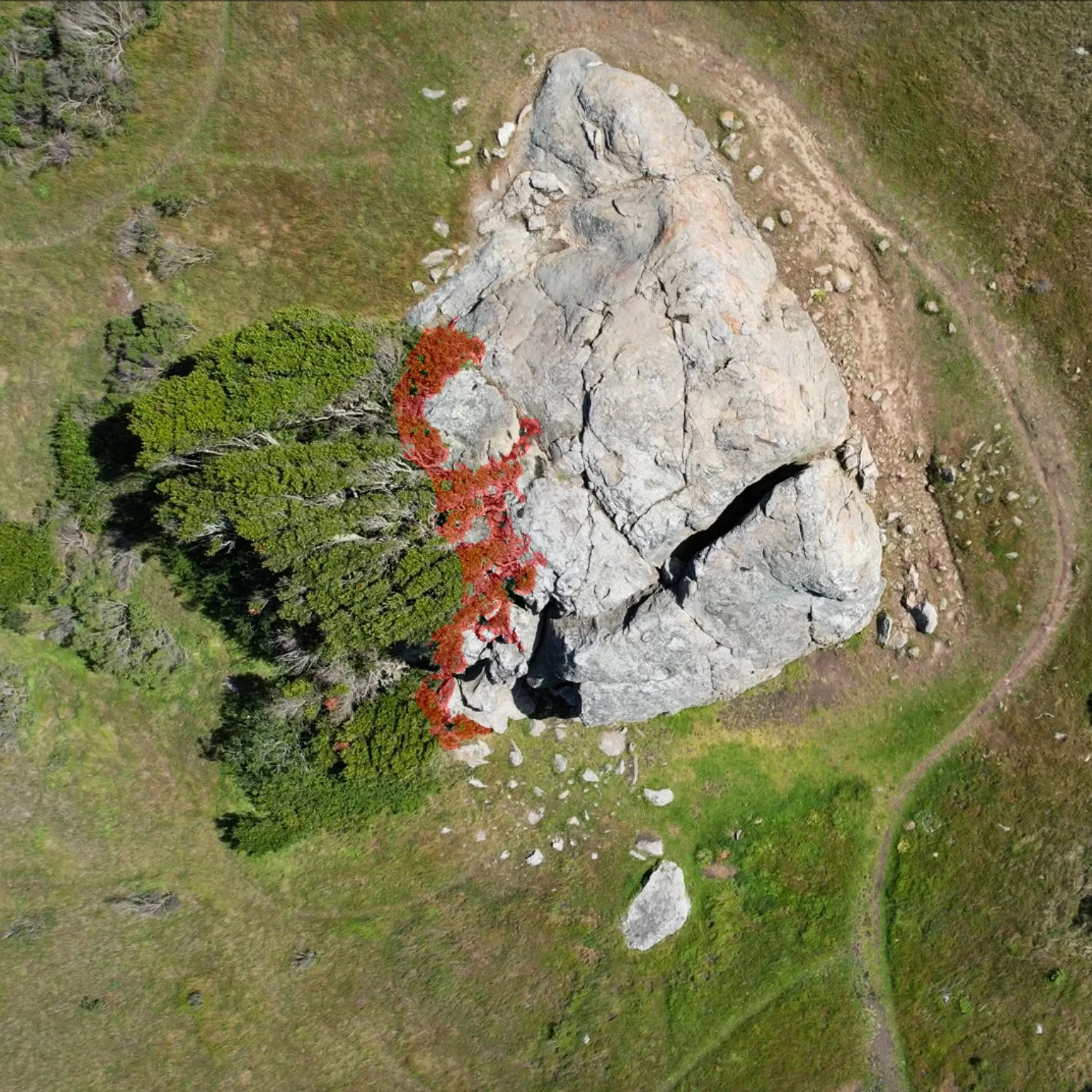 Rooted in Responsibility—Climbing at Split Rock — Bay Area Climbers ...