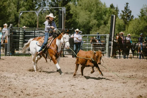 Ontario High School Rodeo Association