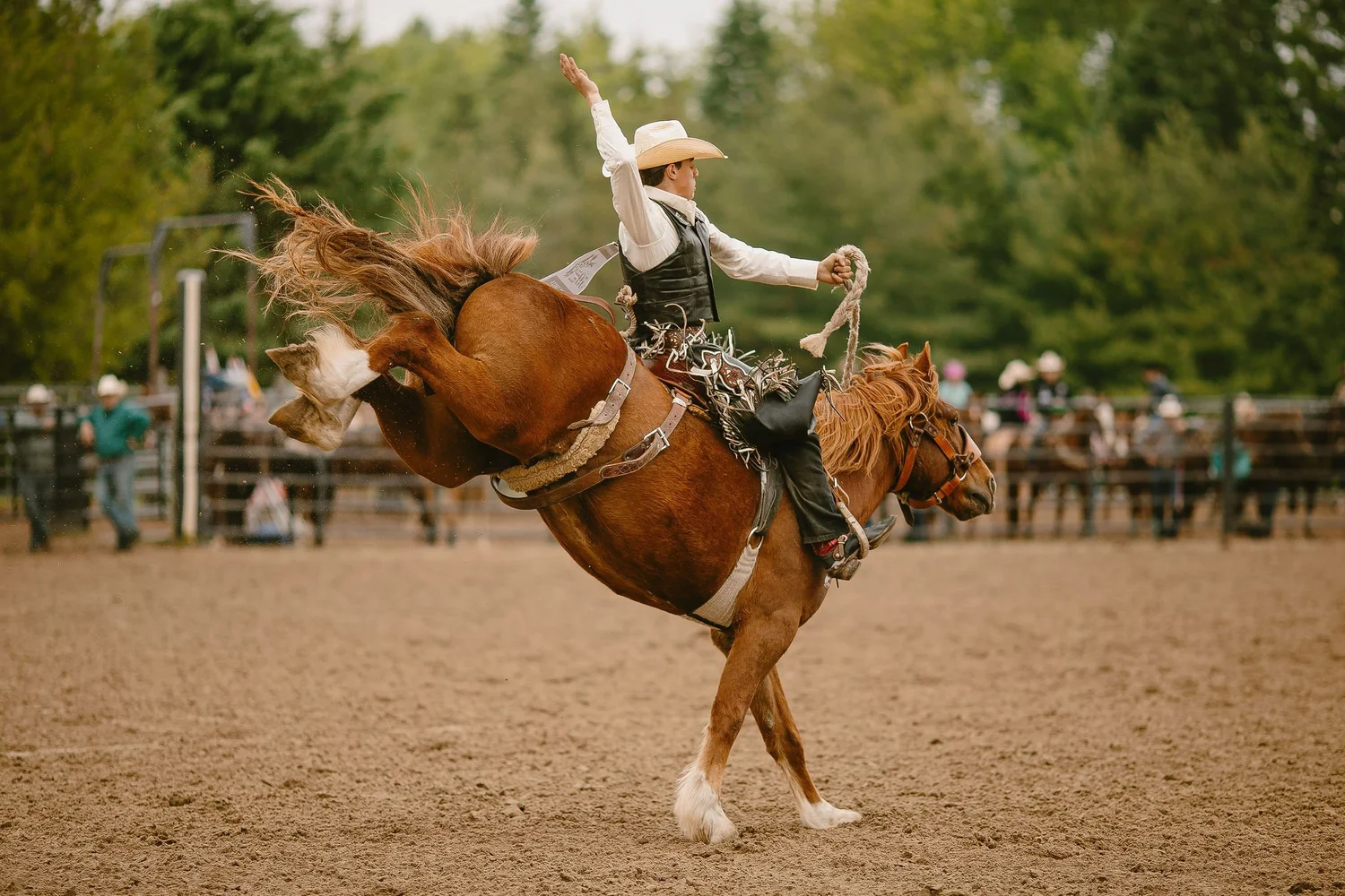 Ontario High School Rodeo Association
