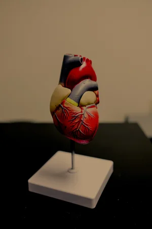 insidehealth