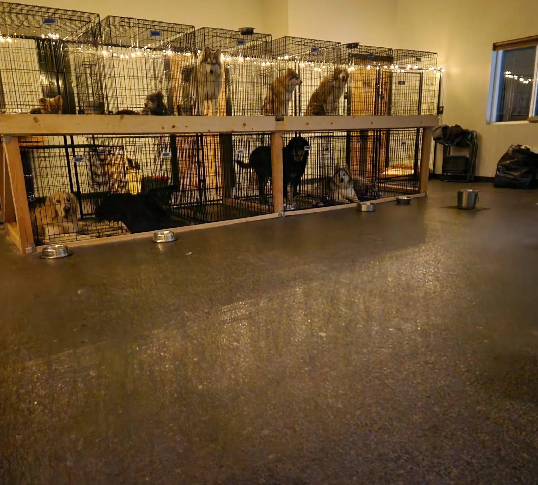 Paws & Pastures, LLC