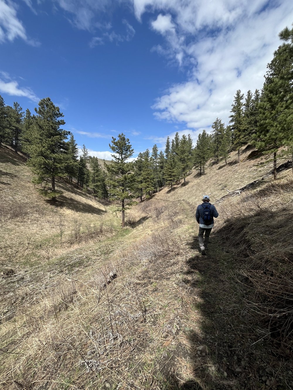 Trails — Havre Trails