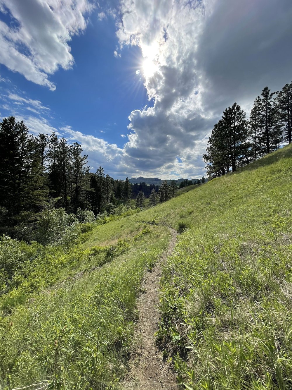 Trails — Havre Trails