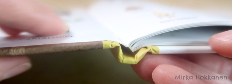 How to create a picture book dummy — Mirkah