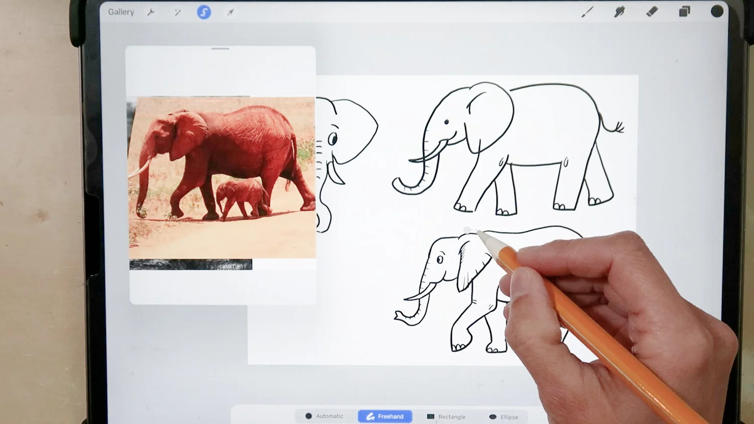How to create animal characters for picture books — Mirkah